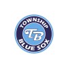 townshipbaseball ca sign up log in copy shortlink report this content ...